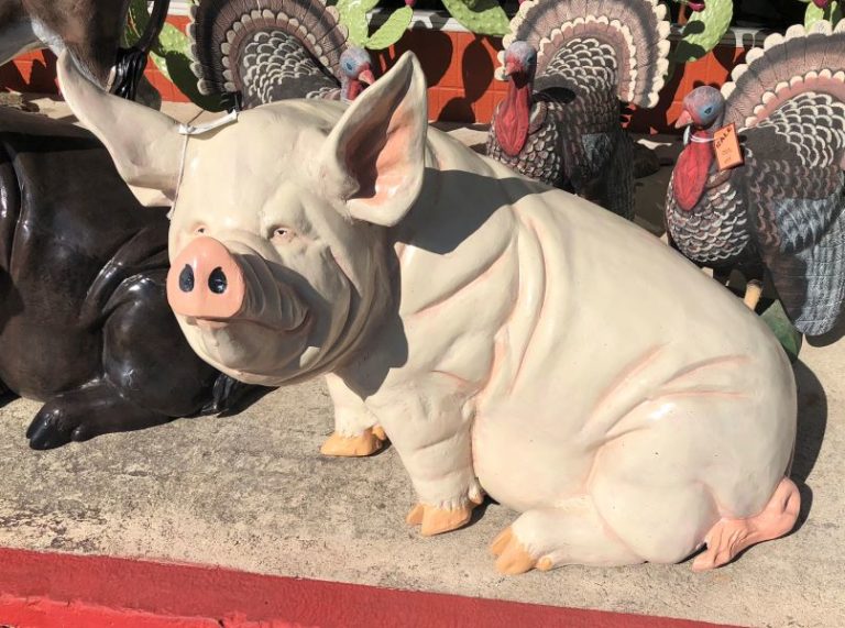 Custom Potbelly Pig - Rustler's Junction